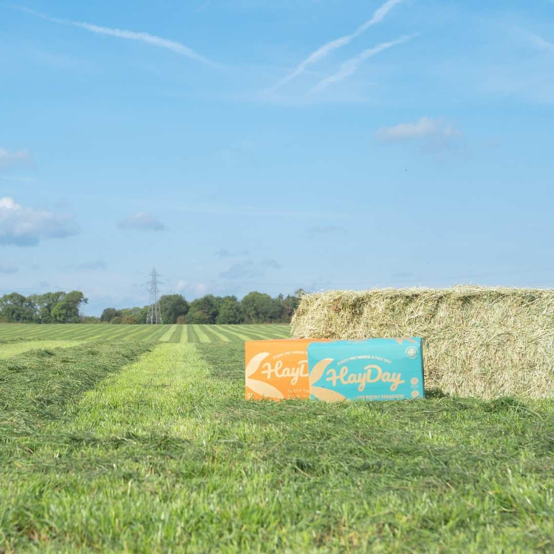 Hay Bundles, Deals & Special Offers Delivered To Your Door – HayDay HQ