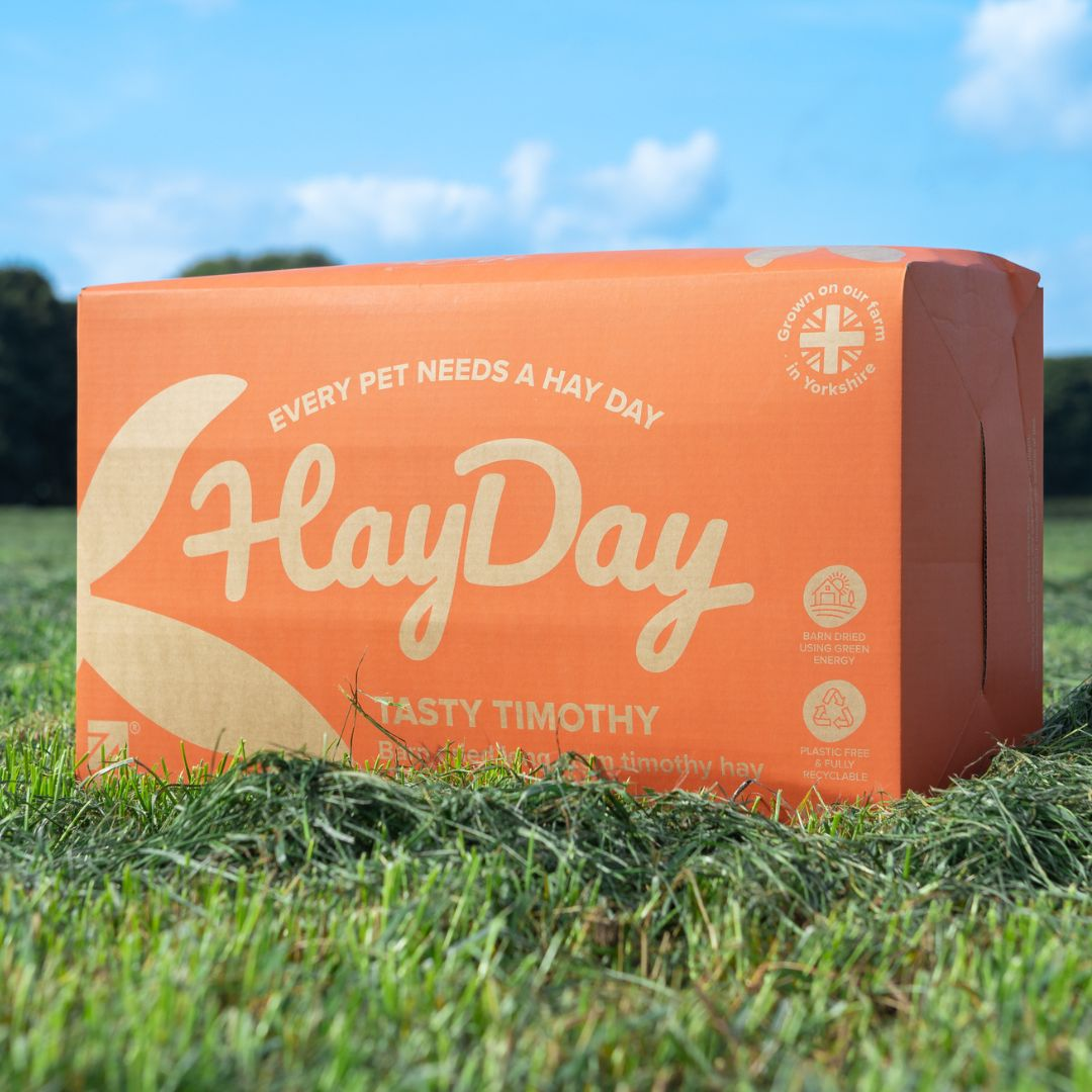 Premium Barn Dried Hay For Small Pets | HayDay HQ