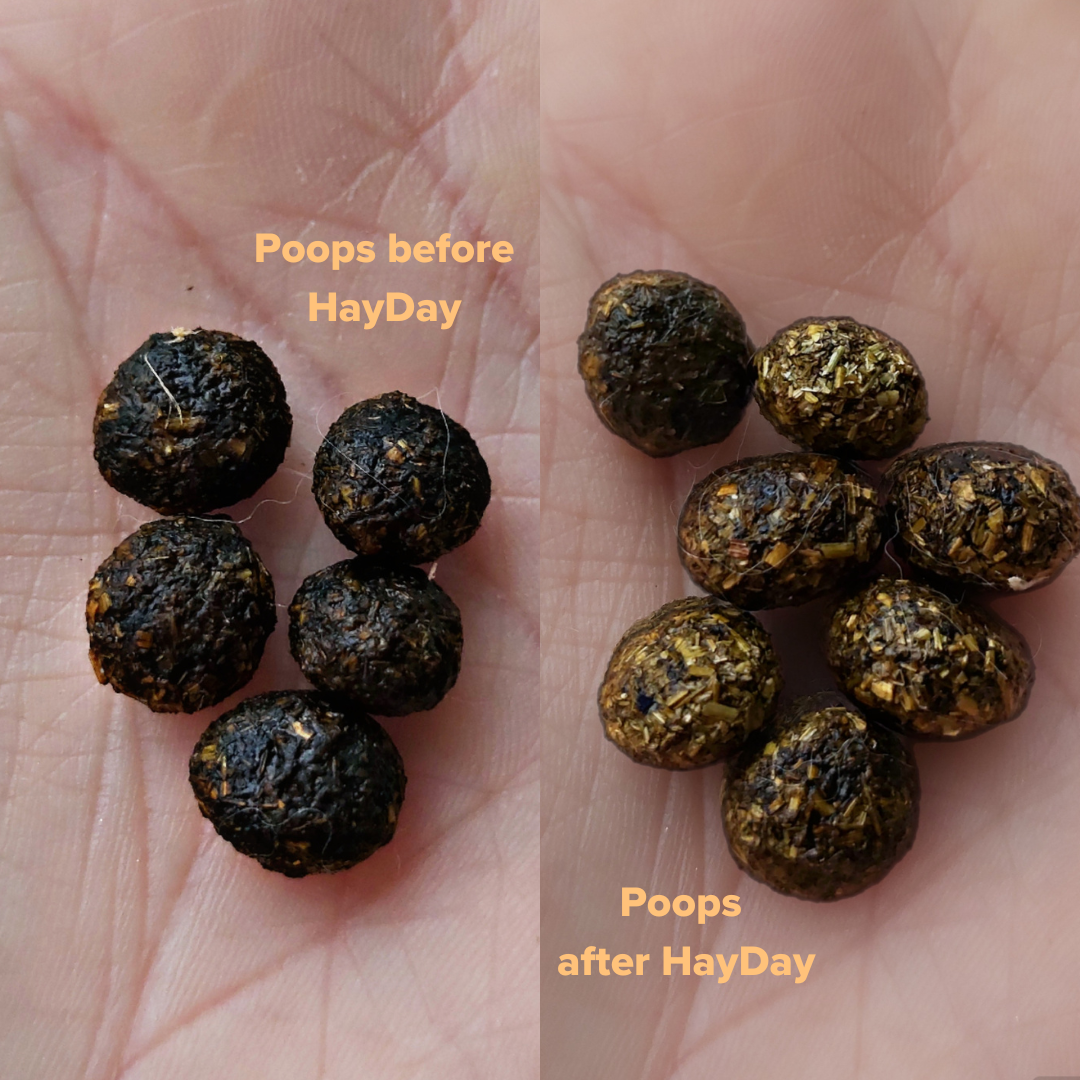 Hay Box Bundles | Timothy Hay & Meadow Hay | HayDay HQ