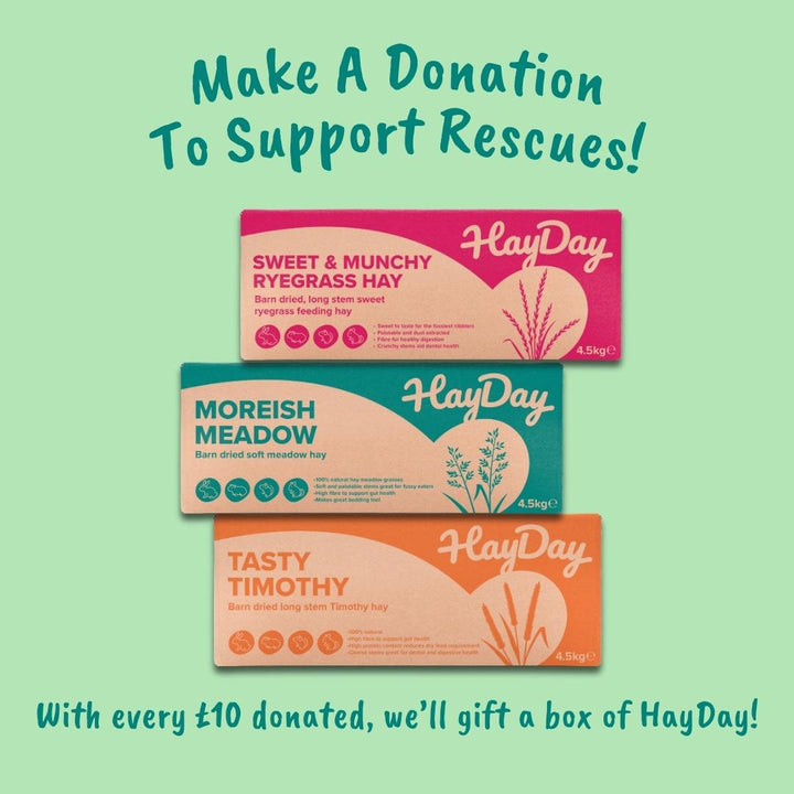 Rabbit Hay & UK's Best Hay For Rabbits from £5.94 – HayDay HQ