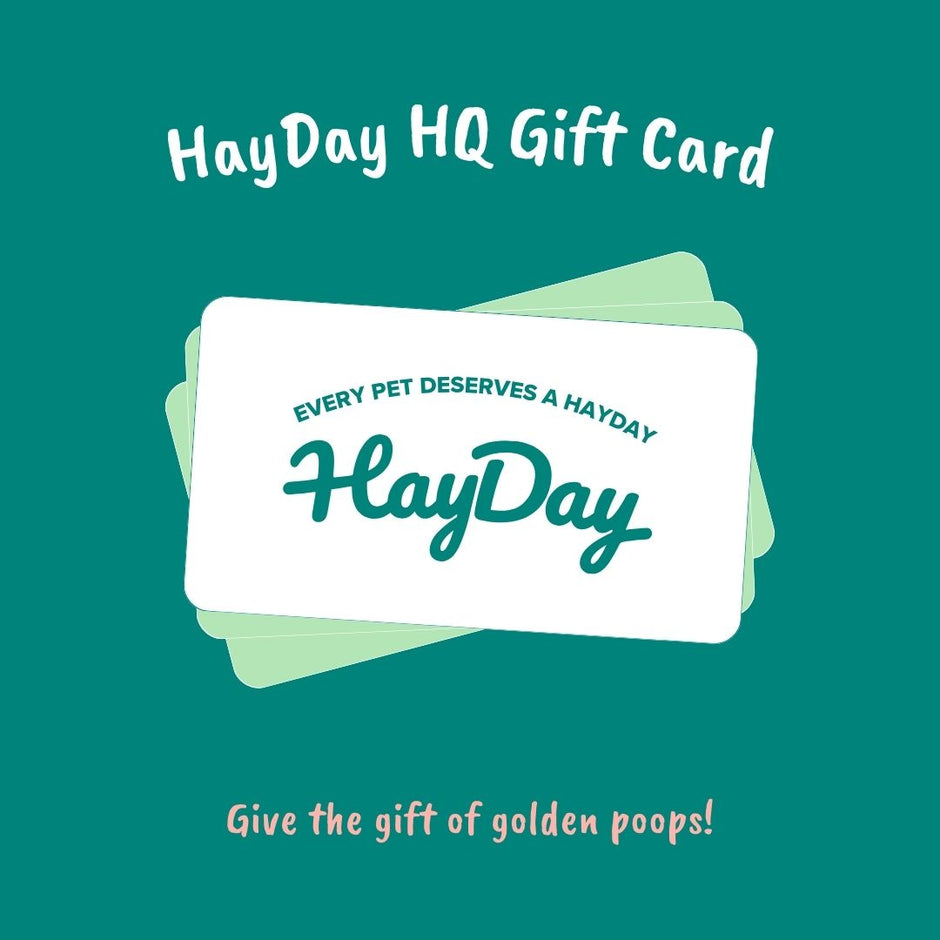 Rabbit Hay & UK's Best Hay For Rabbits from £5.94 – HayDay HQ