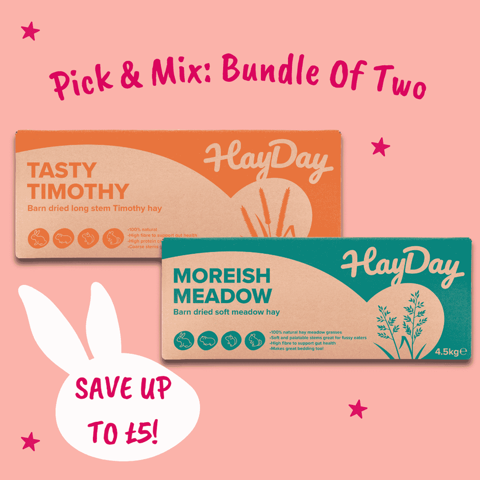 Rabbit Hay & UK's Best Hay For Rabbits from £5.94 – HayDay HQ