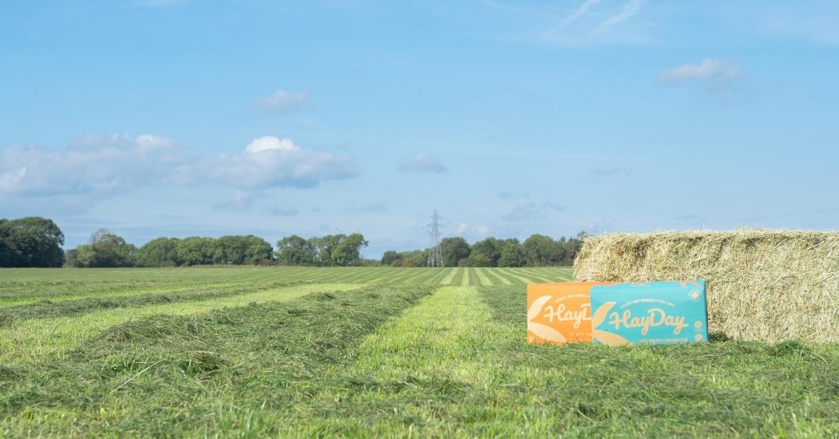 HayDay Hay Boxes For Small Pets – HayDay HQ