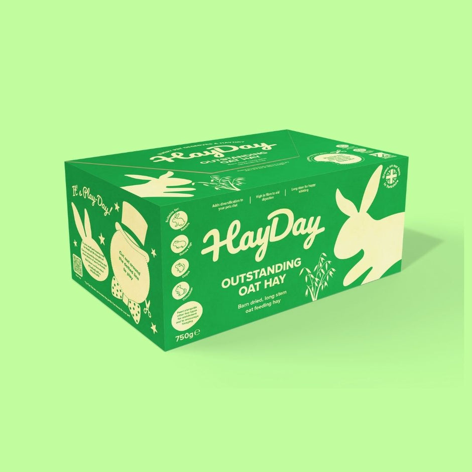 What is Hay: The Essential Guide to Grass, Bales, Feeding and Uses ...